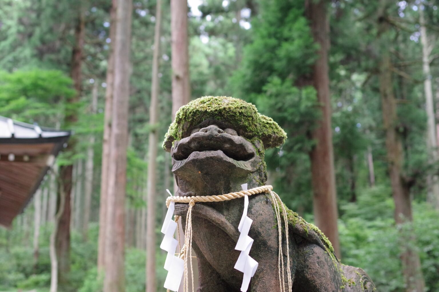 御岩神社のエネルギーが凄すぎる！光の柱・宇宙の波動を感じた体験談